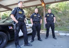 External Vest Carrier Police Apparel - The Dispatch | Blauer