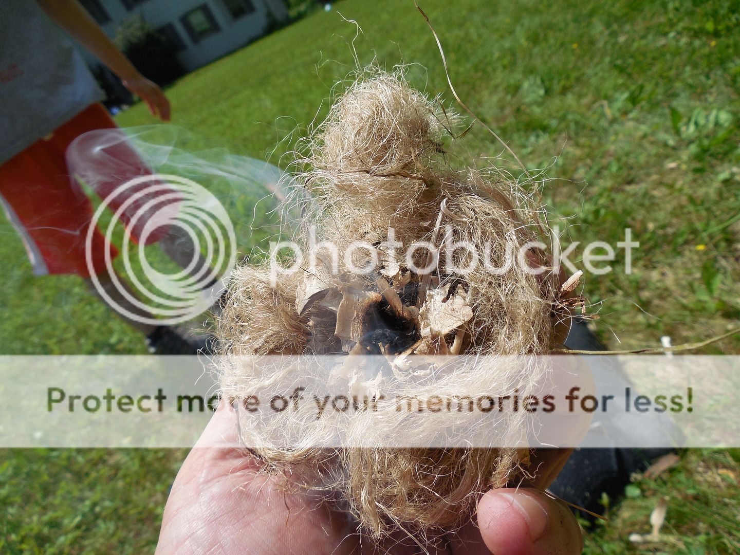 The New Mora 510 Initial Review. | BladeForums.com