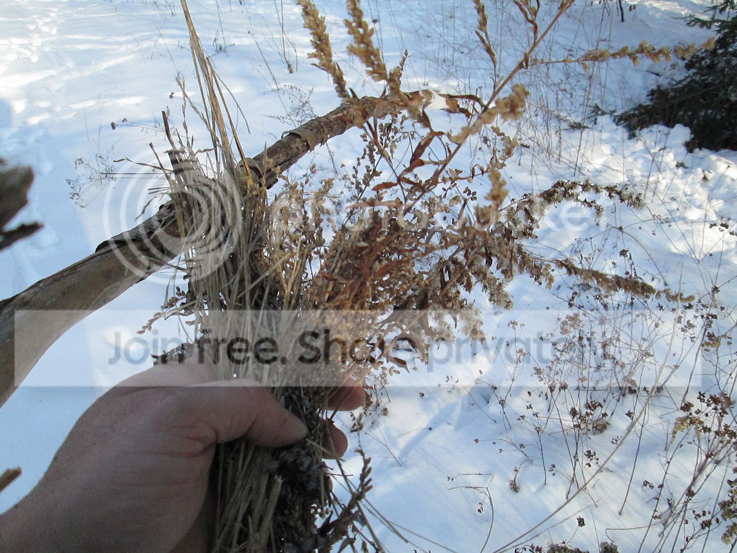 Winter Bushwhacking with Kifaru paratipi, EMR and E&E. | BladeForums.com