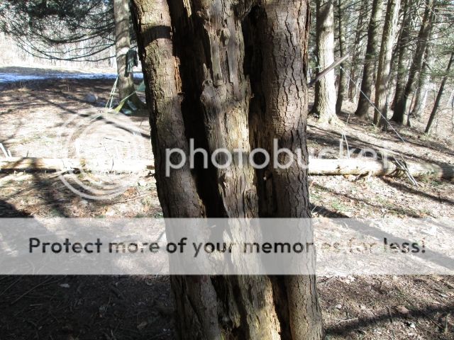 Starting a fire using my neck knife and altoids tin. | Bushcraft USA Forums