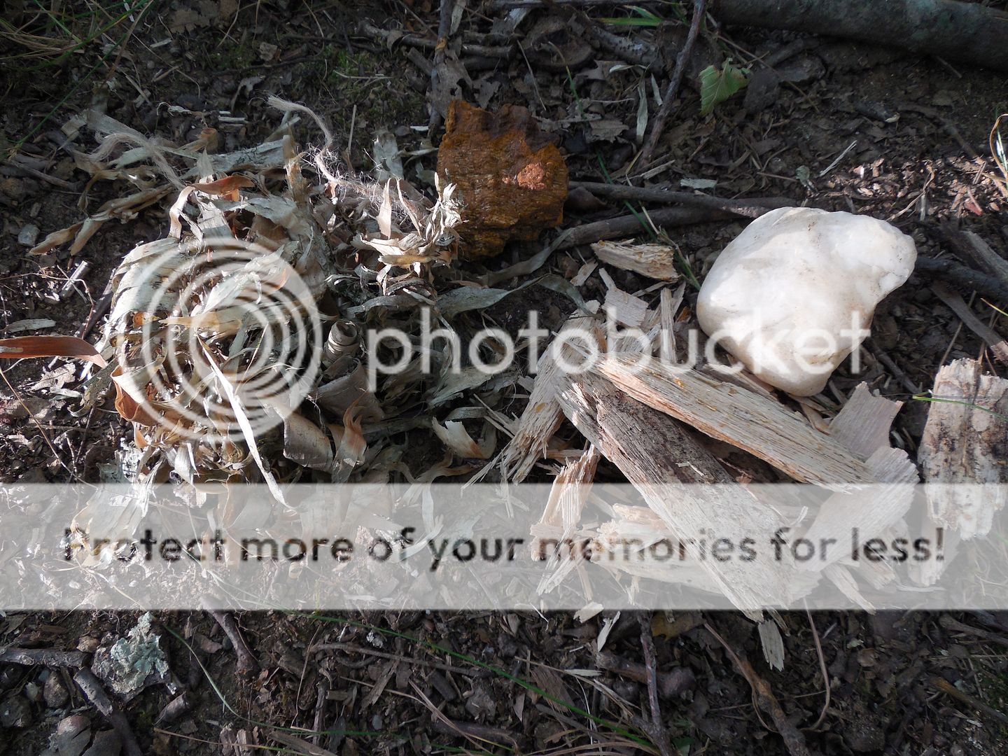 Traditional Fire Kit and Tinder Tube Fire. | Bushcraft USA Forums