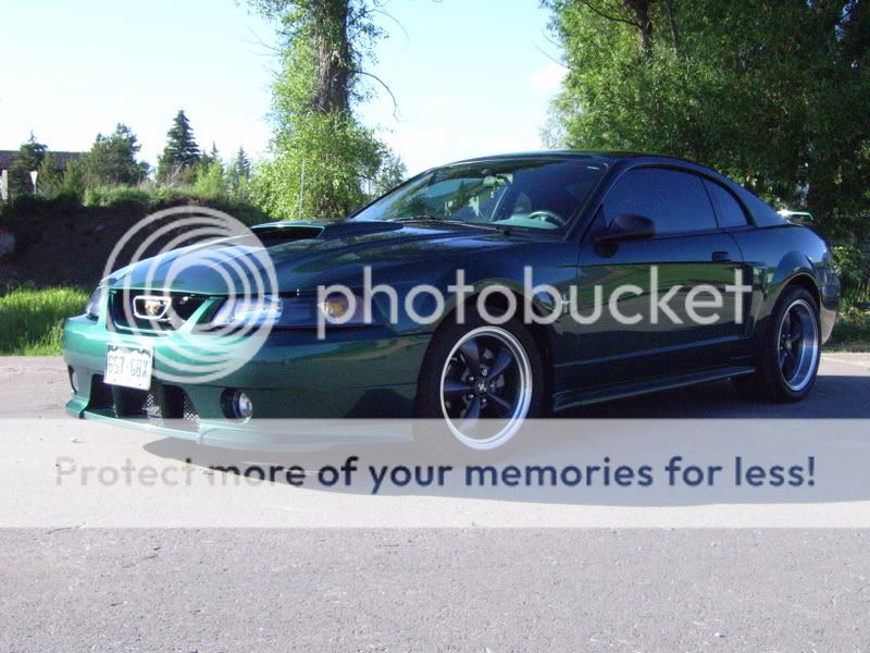 Roush bumper and Saleen wing? | Modded Mustang Forums