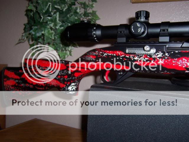 Revolution gun stocks | Rimfire Central Firearm Forum