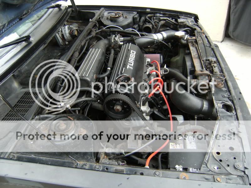 86 Shelby GLHS - Florida | Turbo Dodge Forums